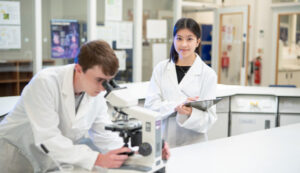 All Courses - Cronton